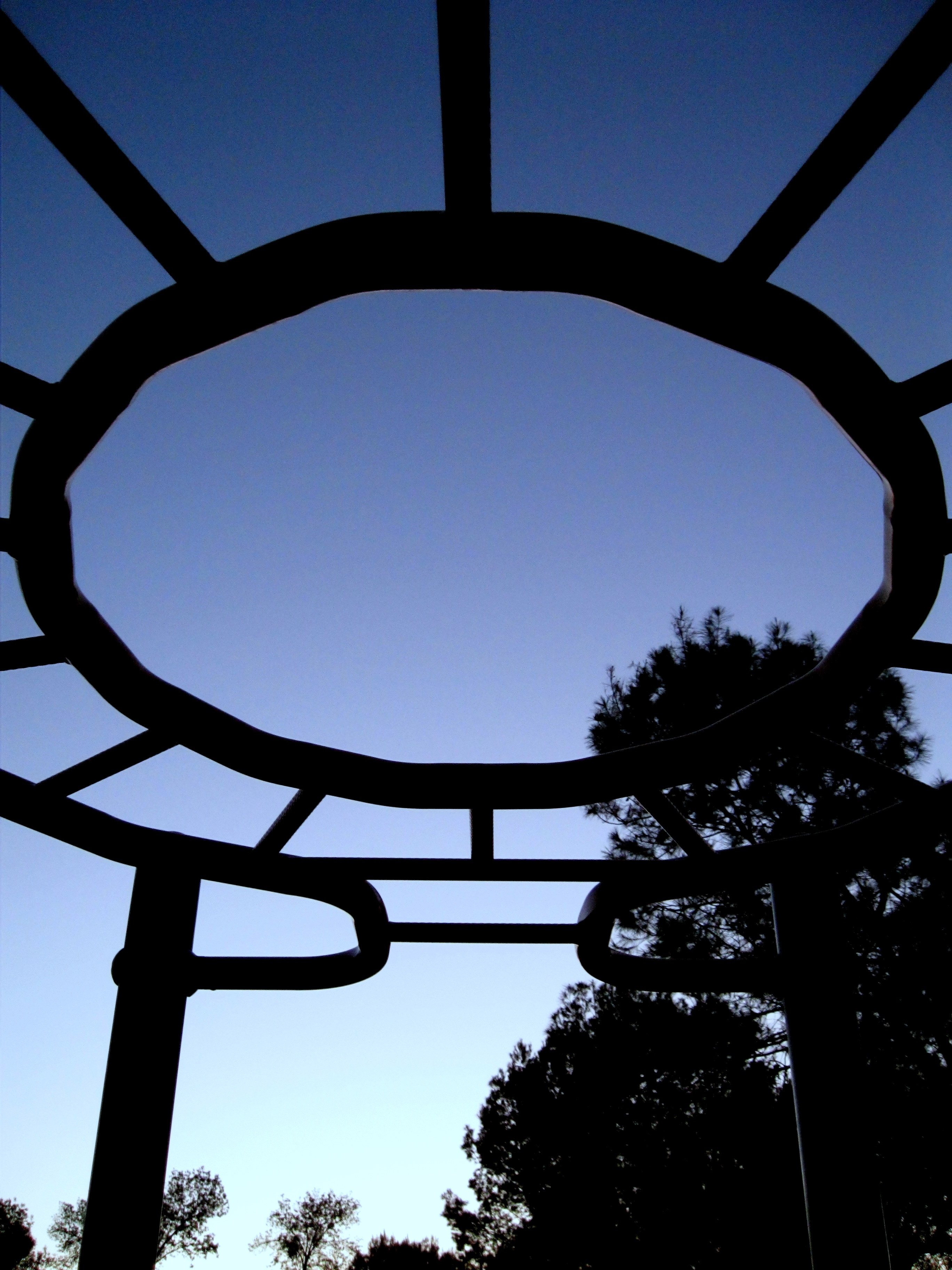 Poem (PAD 2020): The Meaning of Existence – Aleathia Drehmer